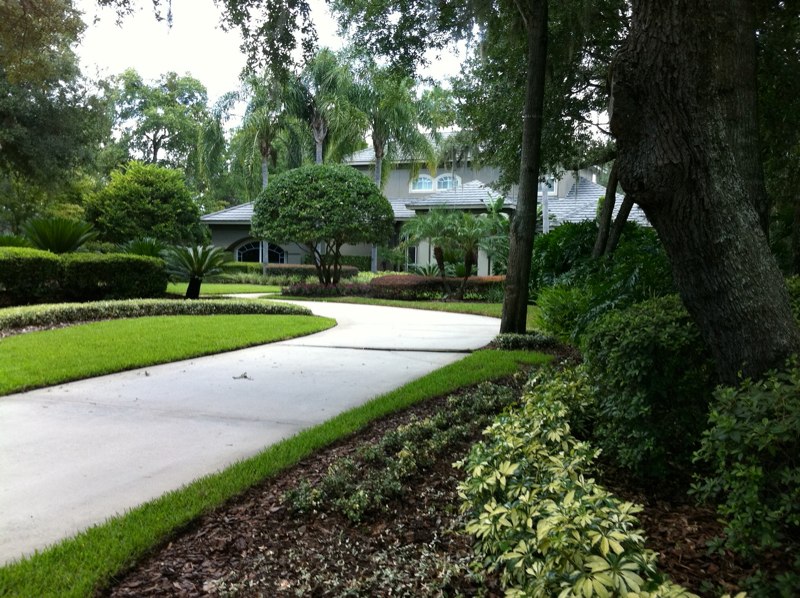 Residential – Sunburst Trees